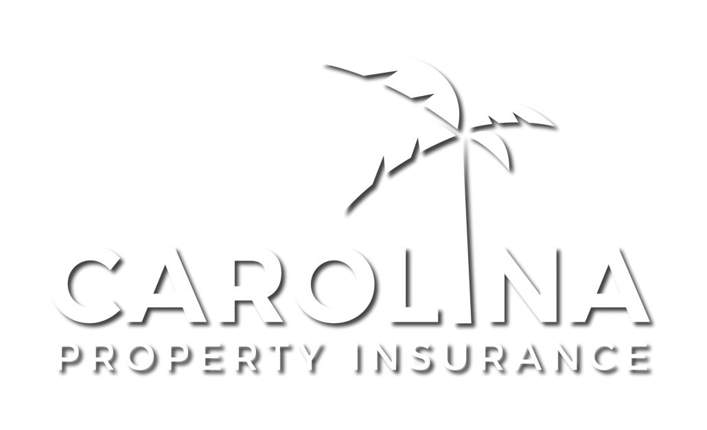 10 BEACH THEMED COSTUME IDEAS - Home and Auto Insurance - Carolina Coast